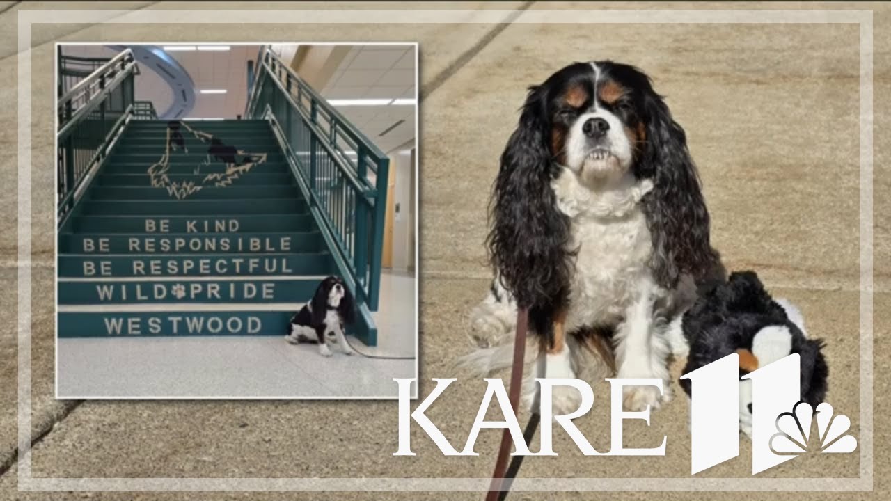Your Good News: Chelsea Janke, Wendy, Mackenzie - YouTube