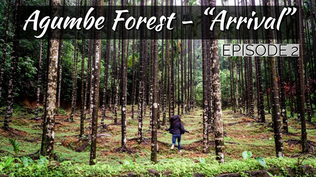 Agumbe Forest- "Arrival" Ep 2 | Bengaluru to Agumbe - YouTube