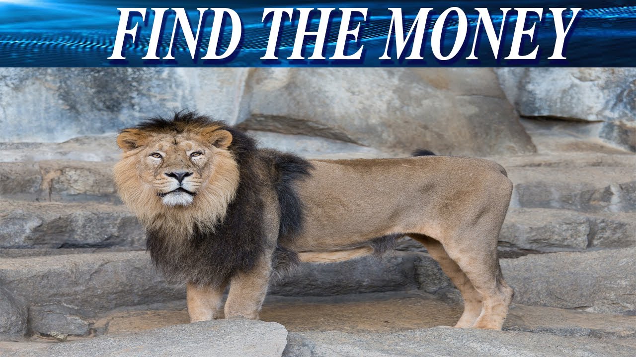 Finding Game | Find The Hidden Object | AR Entertainment | Master Mind ...