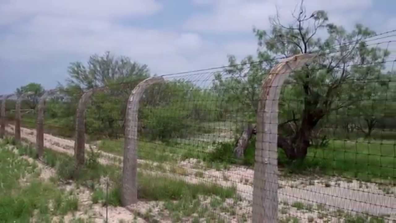 Texas Exotic Game Ranch - Giant Dinosaur Fence - YouTube