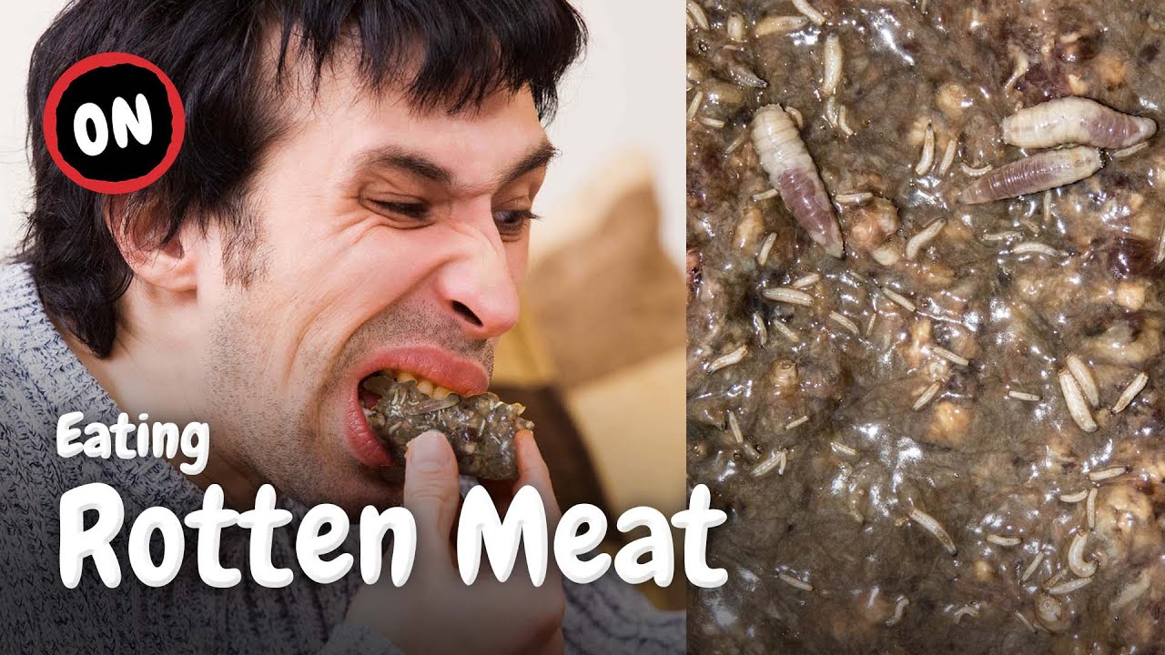 Rotten Meat