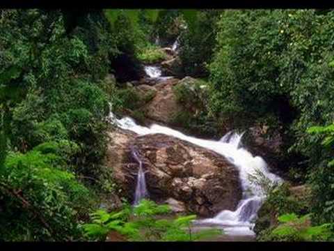 ZUZUUMM. Bİ Bİ Bİ TANEM..! :)