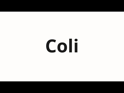 Wie man Coli ausspricht