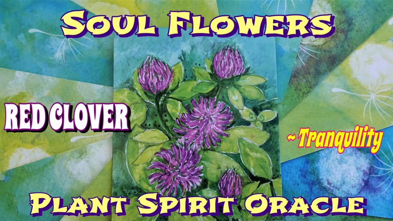 Flower Spirit: Oracle Card for the Day 🌹 RED CLOVER 🌹 Short Visual ...