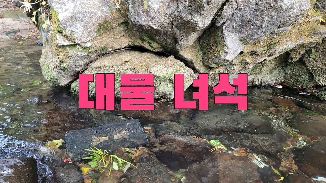 최고의 술안주 잡아서 먹어보자 낚옆이 떨어질때 통발에 물고기 잘잡힌다 Youtube