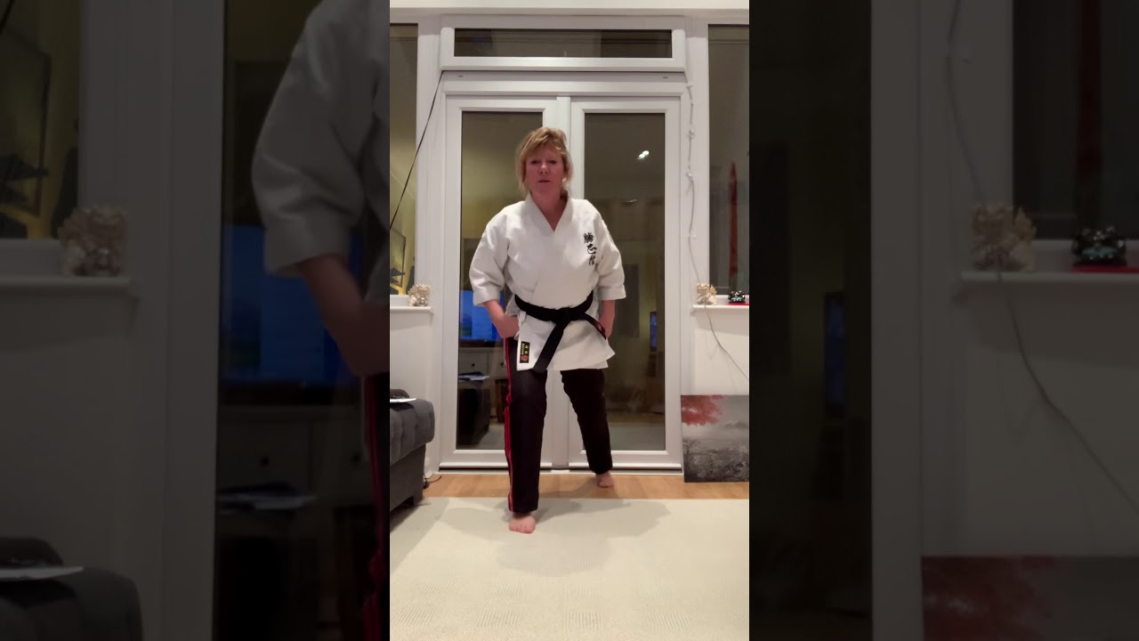 High block reverse punch in long front stance - YouTube