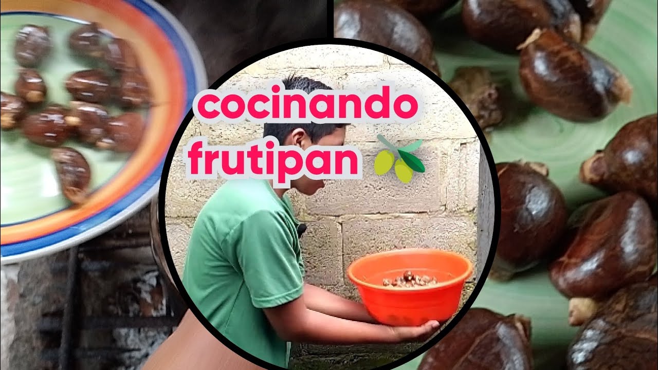 cocinando frutipan 🫒 {Brito Kevin}.... - YouTube