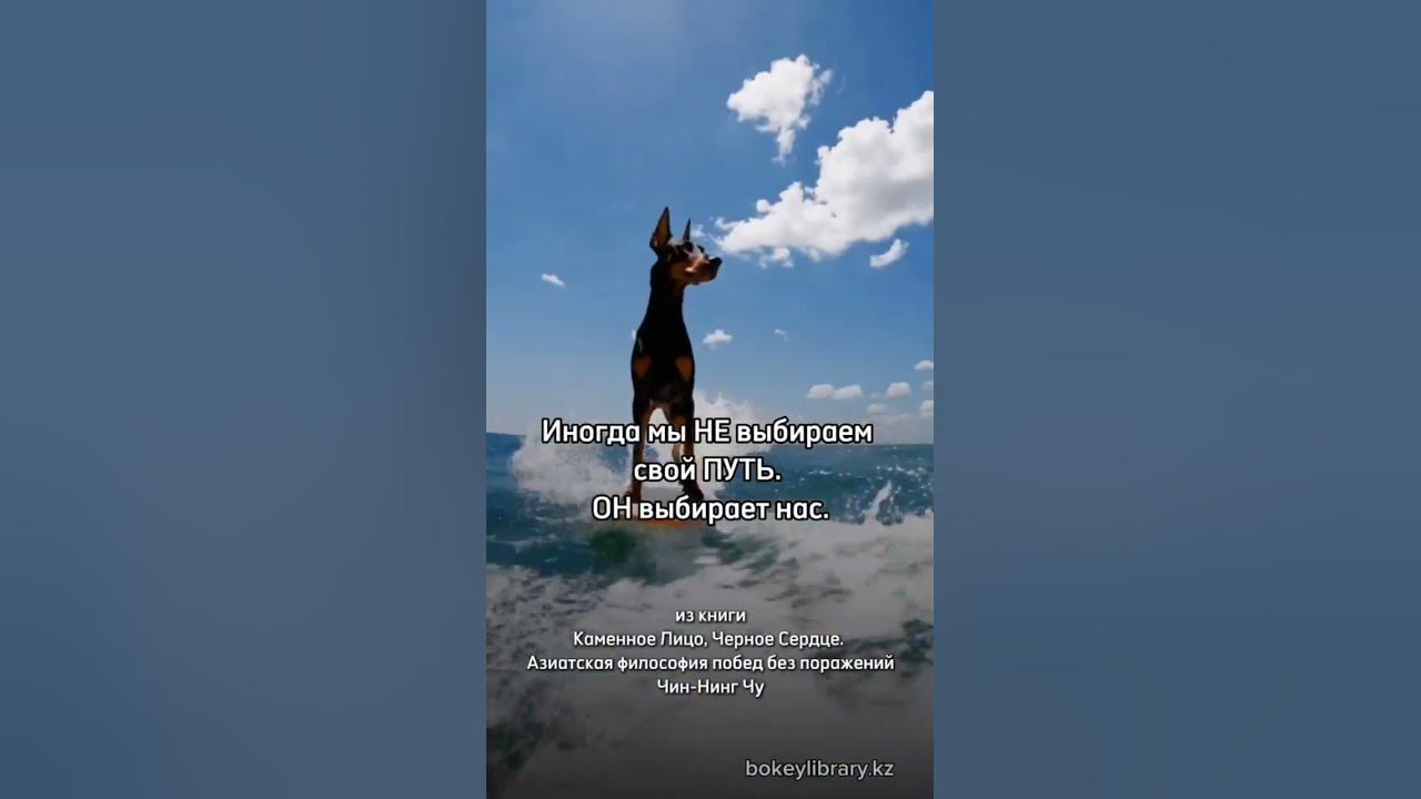 Каменное Лицо, Черное Сердце - YouTube