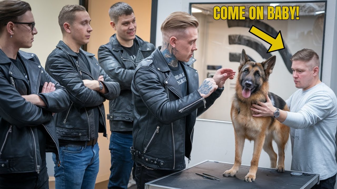 Bikers mock pet groomer, not knowing he's a former military dog trainer ...