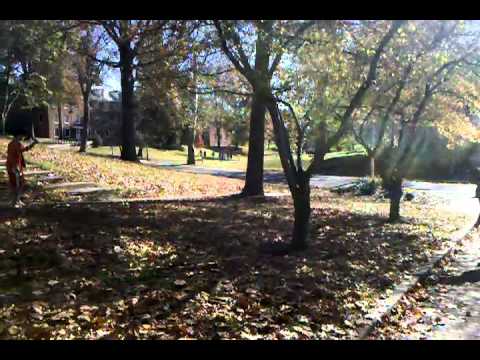 Flinstones group squirrel