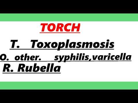 TORCH (important full form) - YouTube
