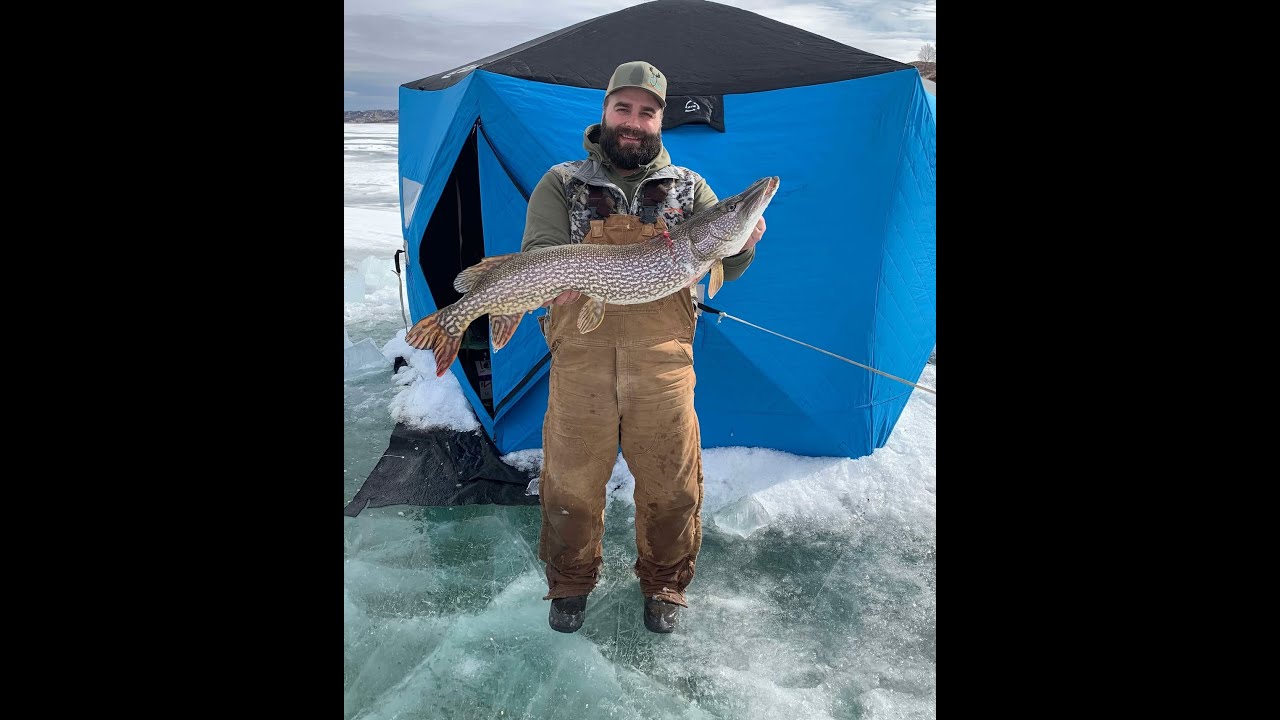 Pike Spearing Cody's PB Pike Shaky Shaft Addicts - YouTube