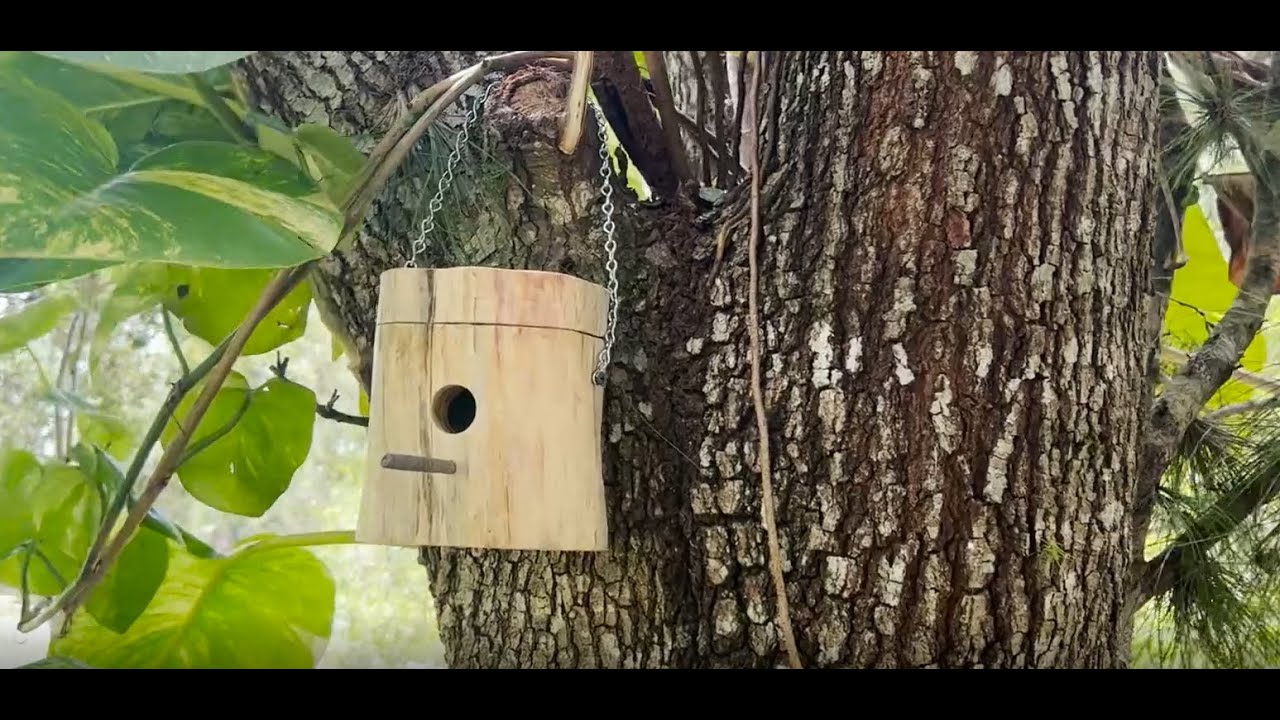 DIY Hummingbird House. - YouTube