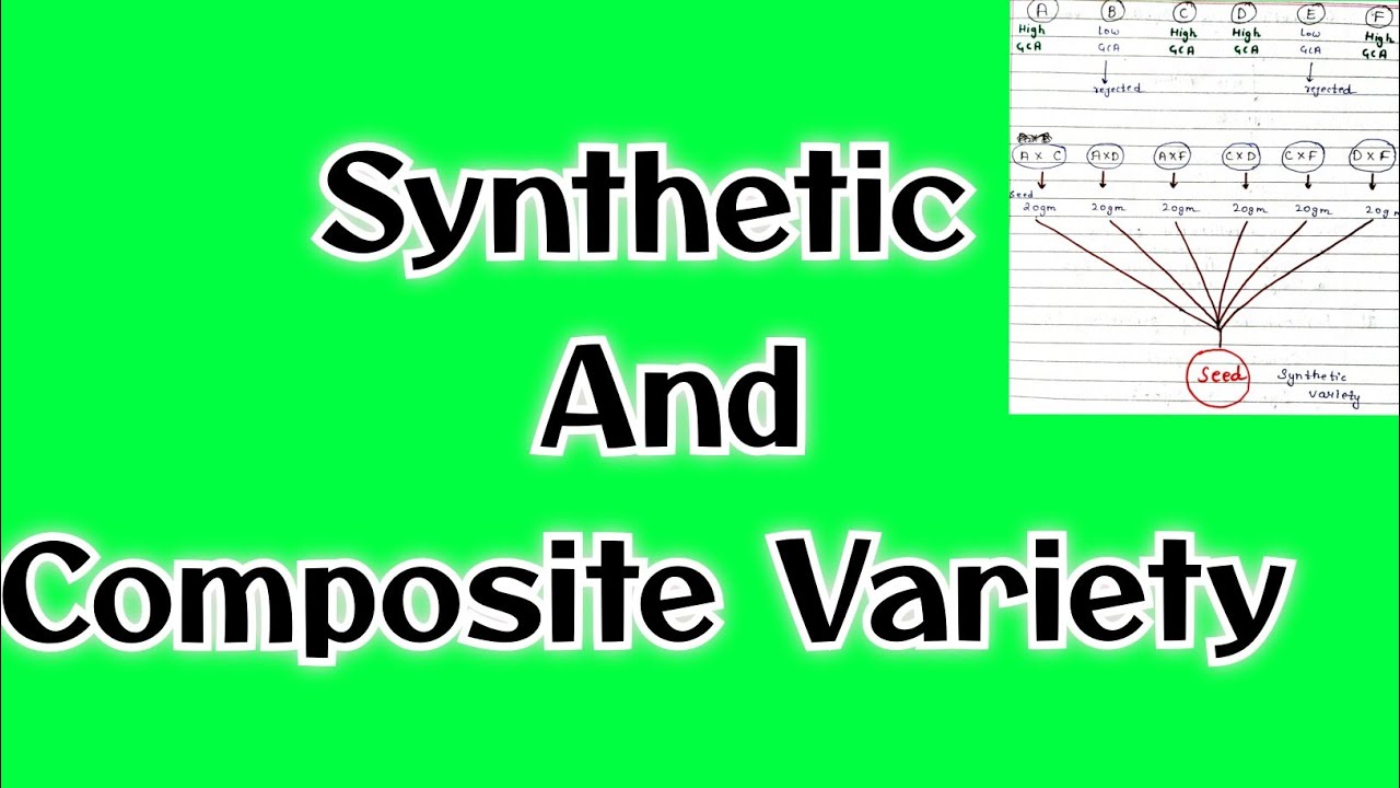 Composite and Synthetic Varieties || Plant Breeding || - YouTube