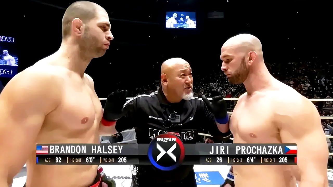 Jiri Prochazka (Czech) vs Brandon Halsey (USA) | KNOCKOUT, MMA fight ...