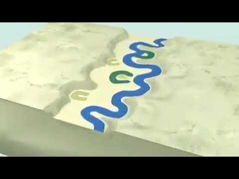 Proses pembentukan delta - YouTube