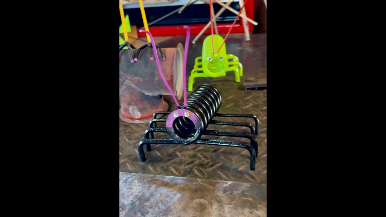 Sparkle Spring Centipede - YouTube
