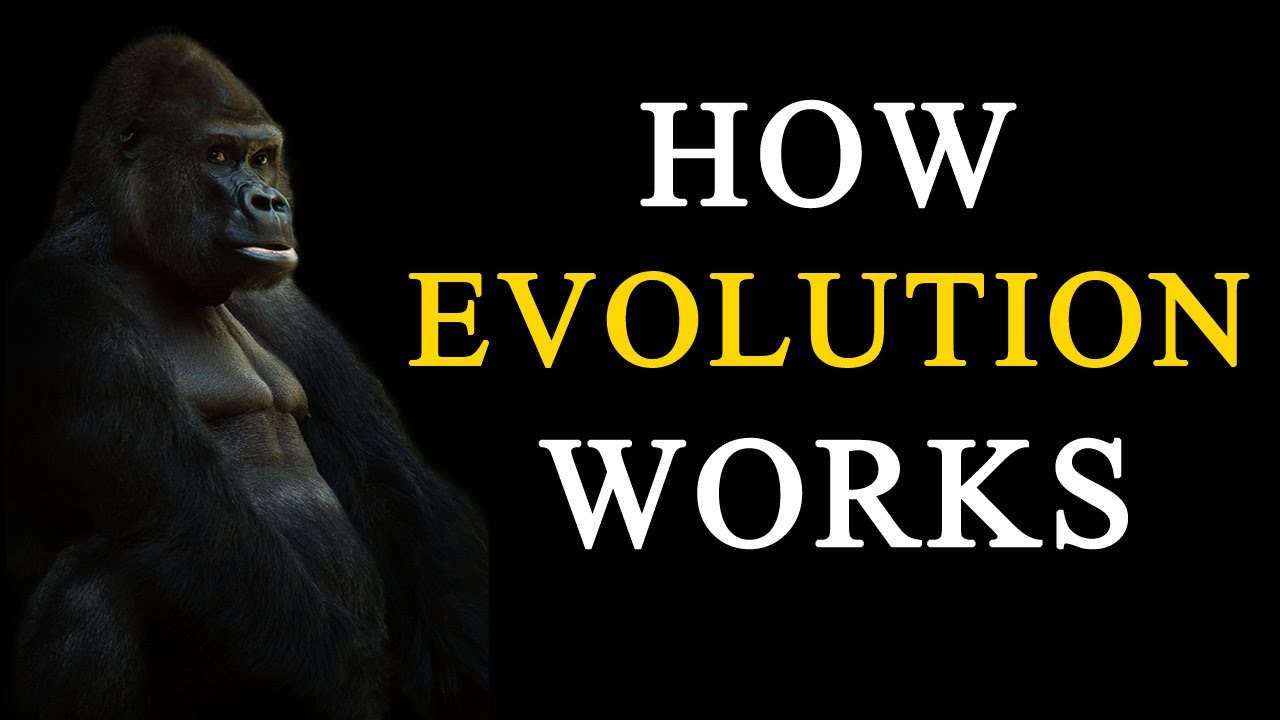 How Evolution really works ? - YouTube