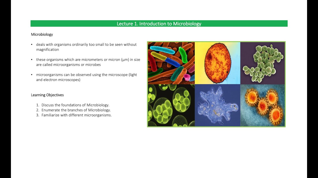 Lecture 1. Introduction to Microbiology - YouTube