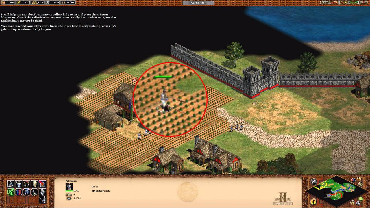 AoE II: Confused Pikeman - YouTube