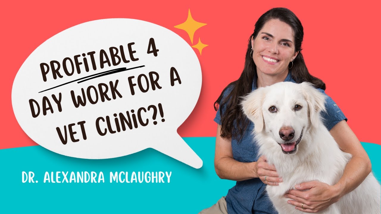 How To Make Big Profits With A 4-day Vet Clinic Schedule! - YouTube