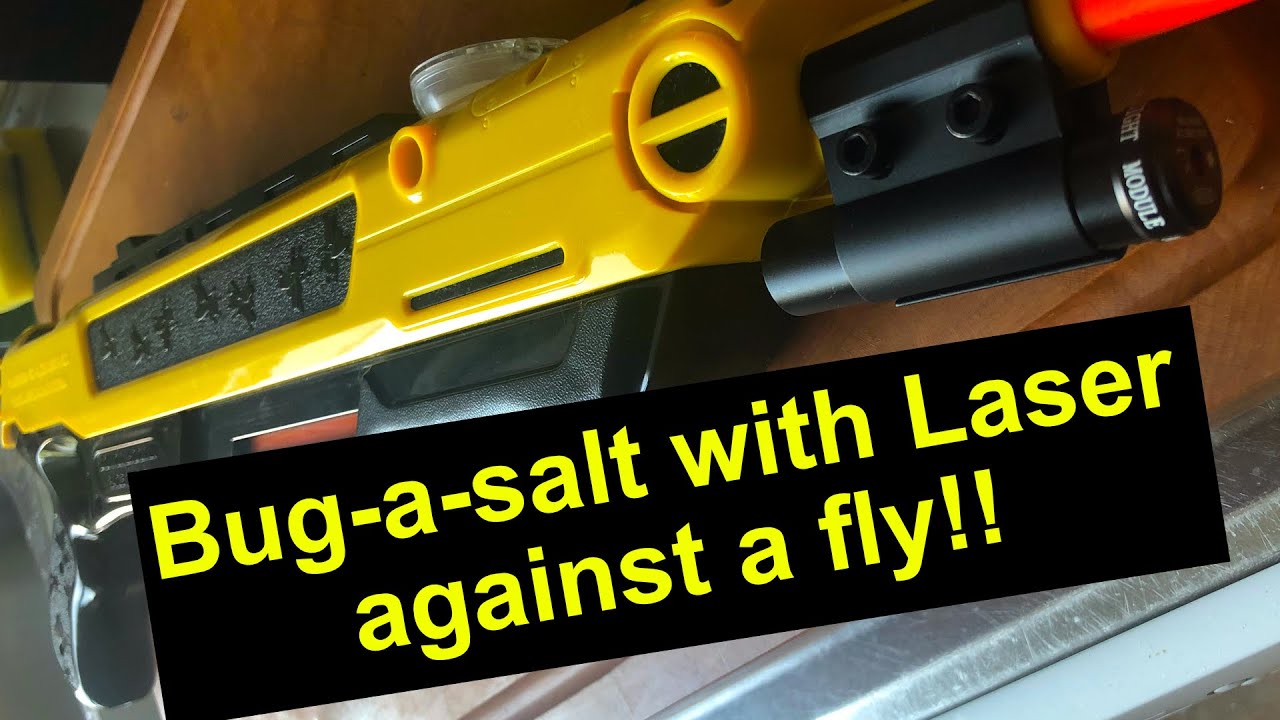 Bug-a-salt 2.0 with laser sights against a house fly. - YouTube