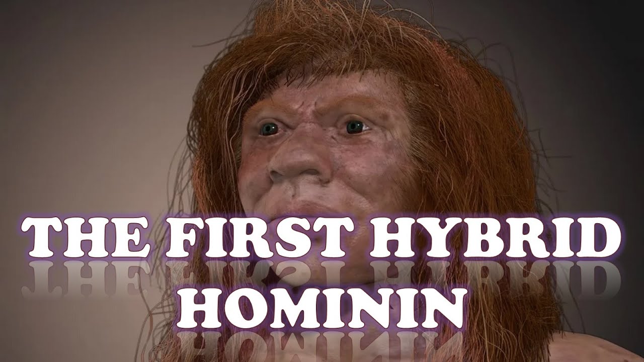Denny:The First Hybrid Hominin - YouTube
