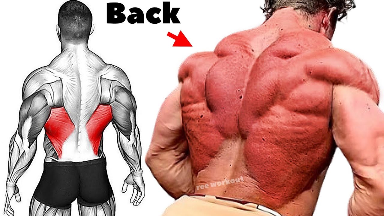 how to Grow Your Back - back workout new variation - YouTube