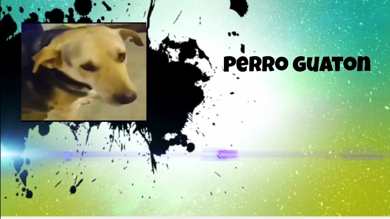 Perro guaton super smash bro ultimate - YouTube