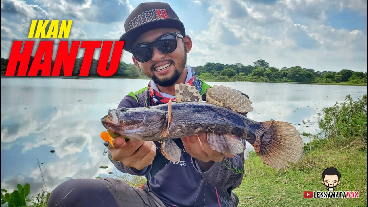 HARUAN KETUTU @ IKAN HANTU - YouTube