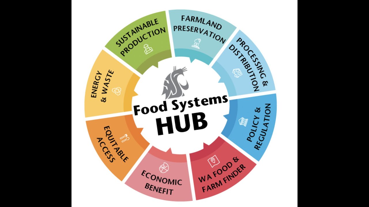 Ripple Effects Mapping with Debra Hansen and Clea Rome on the WSU Food ...