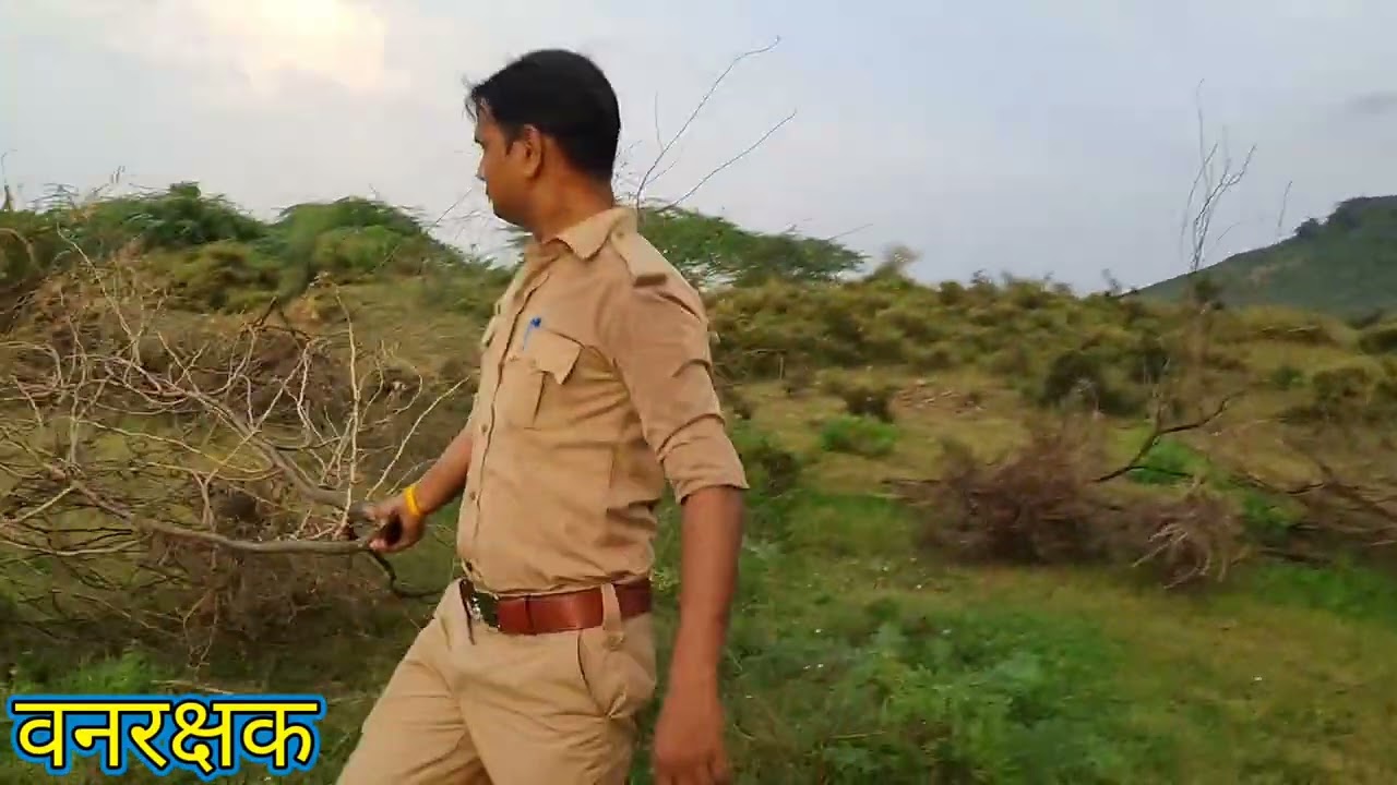 Forest guard Very tough life 😭 😢🧬 | Forest Guard lifestyle | Forest ...