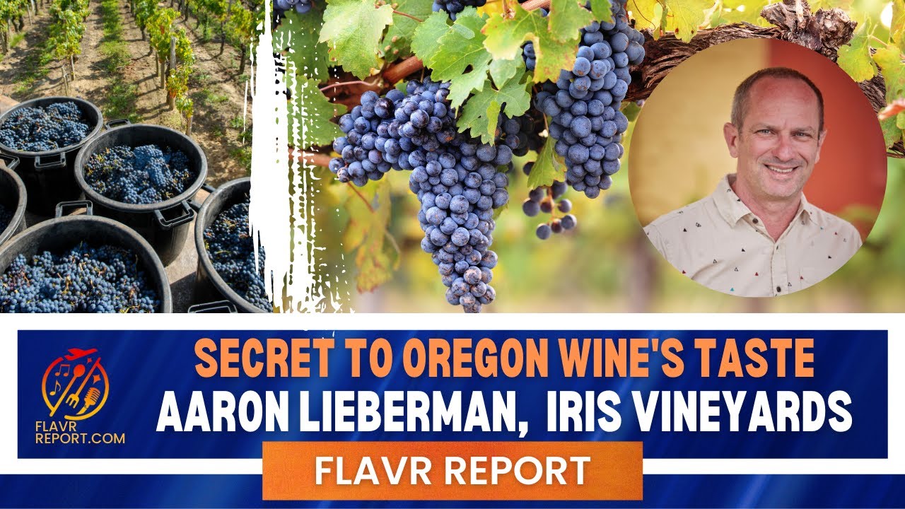 Love Oregon Pinot Noir? Pinot Gris? Iris Vineyards Winemaker shares a ...
