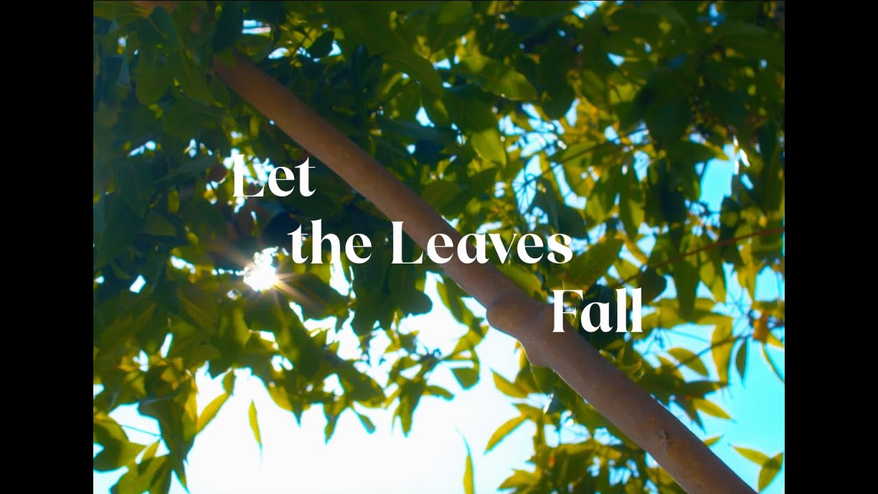 Let the Leaves Fall - YouTube