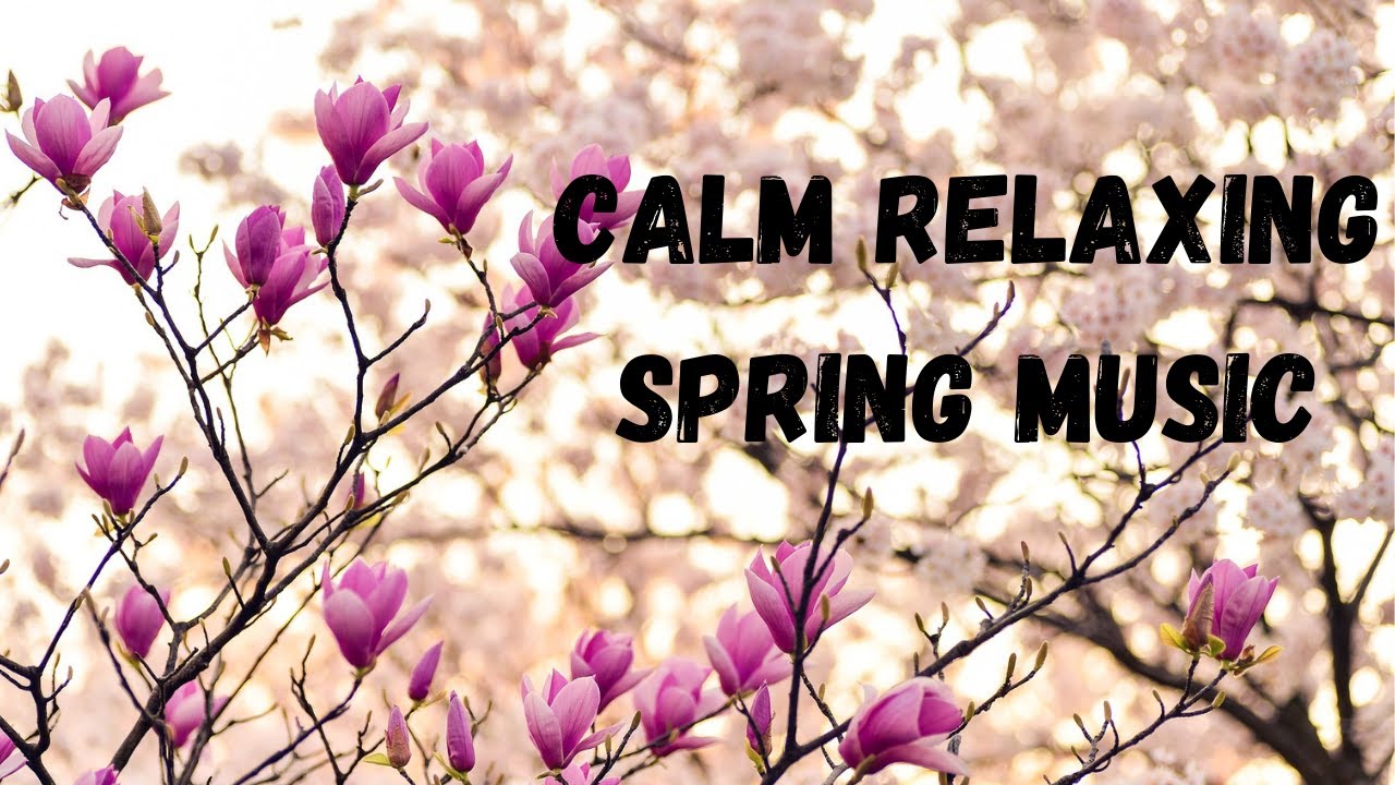 Calm Relaxing Spring Music ~ Beautiful Piano Music, Relaxing Music for ...