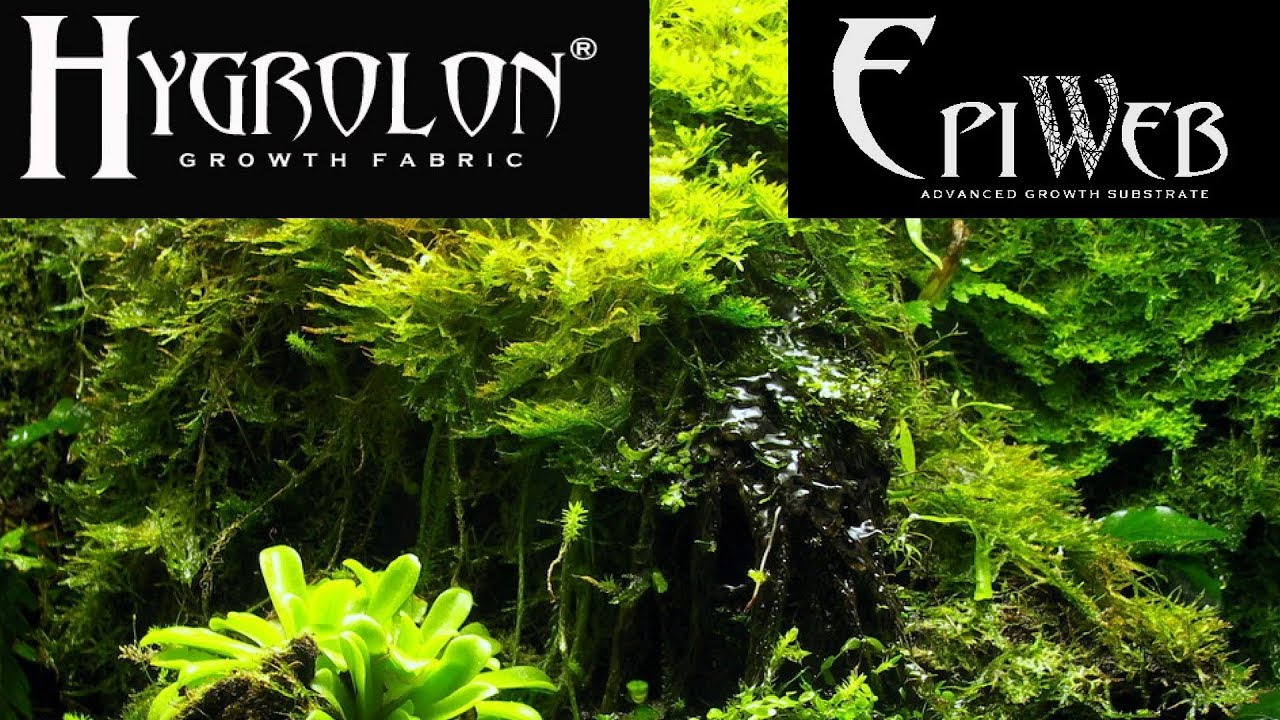 Montagens com Epiweb Moss Mix & Hygrolon - YouTube