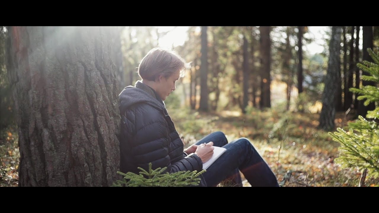 What is the Youth Initiative Program? - YouTube