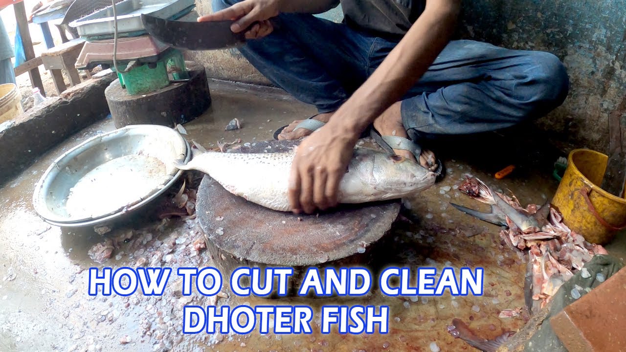HOW TO CUT & CLEAN DHOTAR FISH ( GRUNTER FISH ) - How To Cut and Clean ...