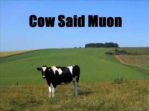 Cow Said Muon - Death of a Proton (w.lyrics) - YouTube