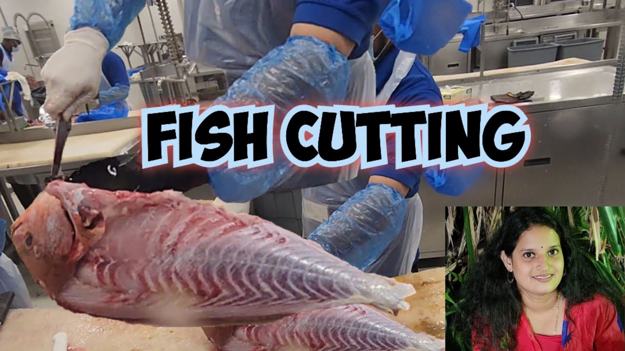 Amazing fish cutting skills |fish cutting|🐋🐳🐟| - YouTube