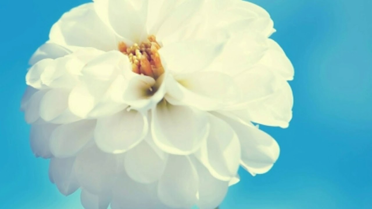 Dev Verma kasondi vale very hot song - YouTube