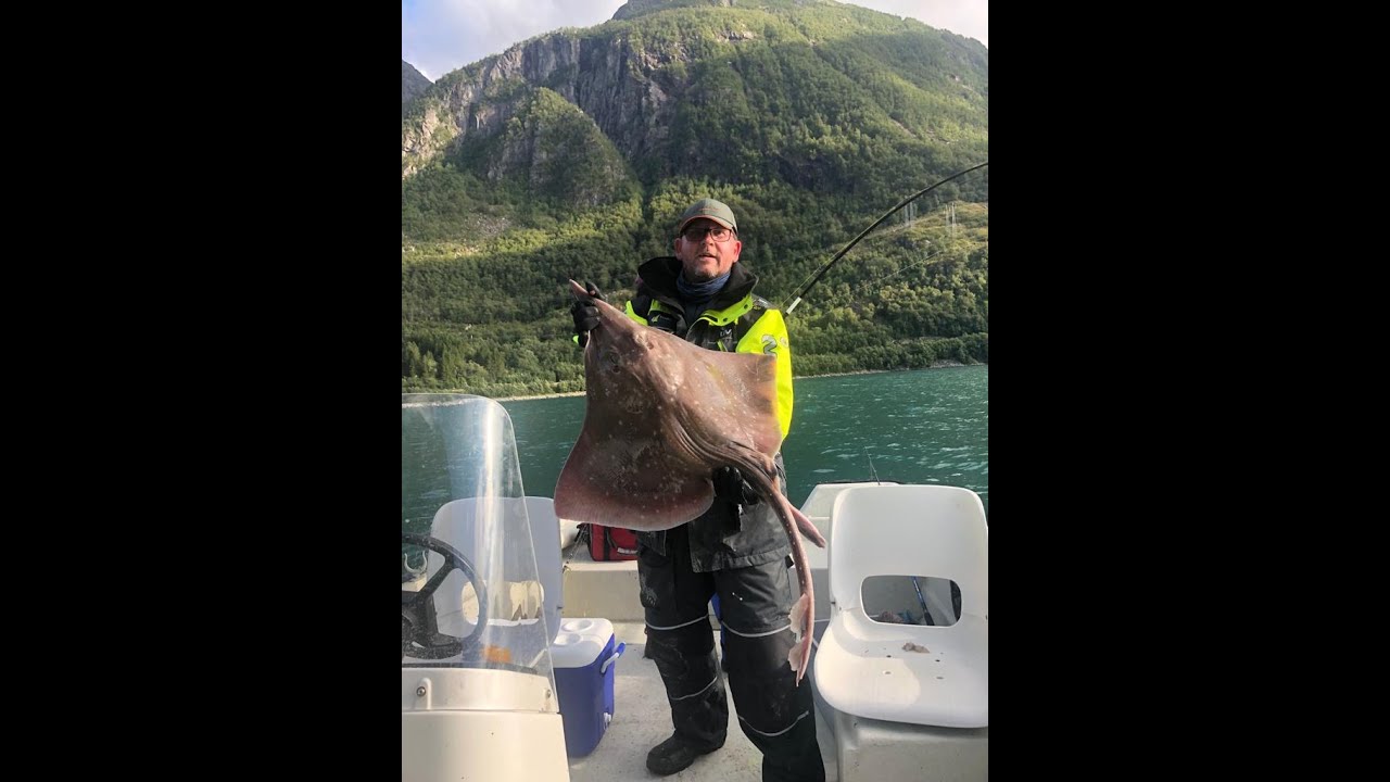Trailer "Angeln auf große Seehechte auf dem Maurangerfjord" - YouTube