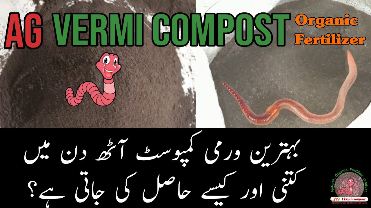 Vermi Compost Farming || How to make the best vermicompost || AG ...