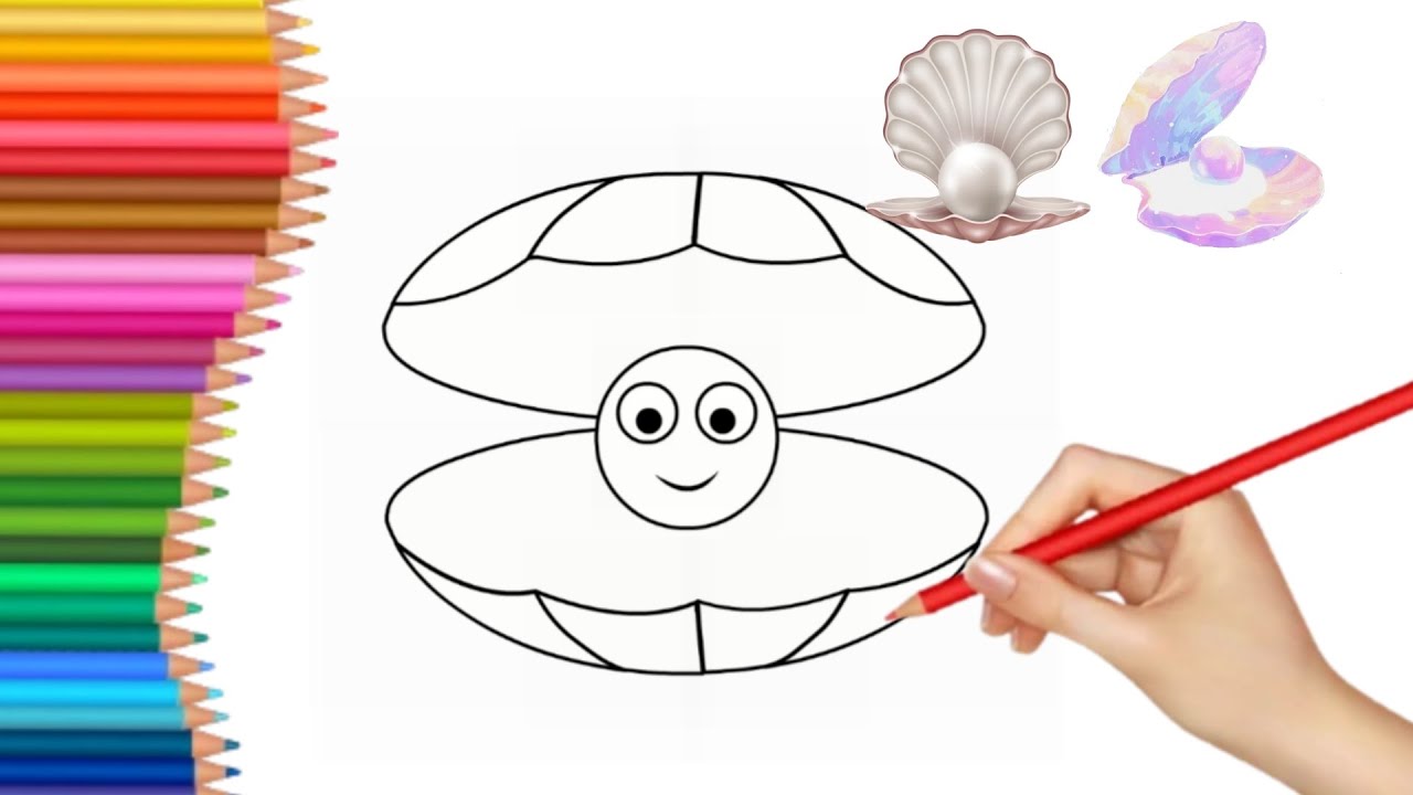 beautiful pearl 🦪 drawing and Colouring 🖌️🖍️ for kids 👶🏻💛💙 - YouTube
