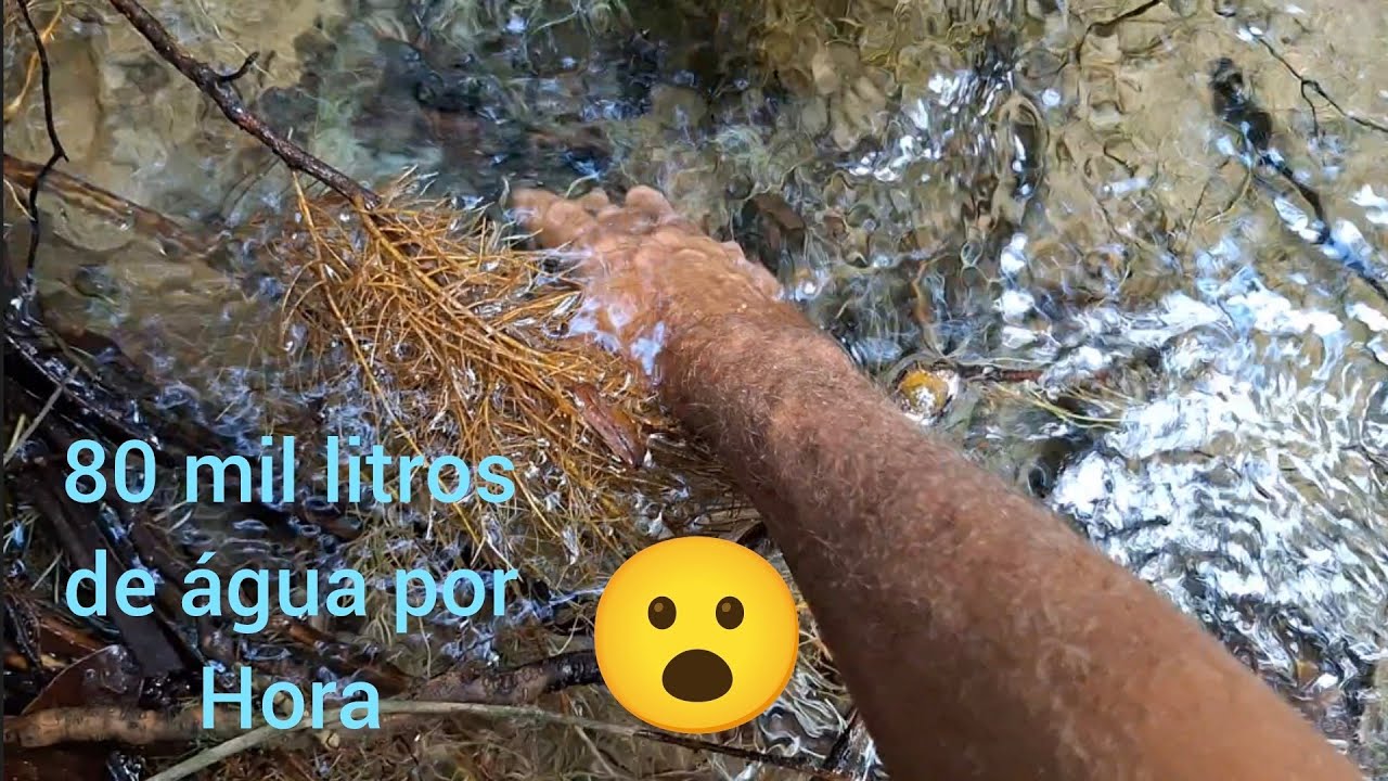 veja enorme nascente Rio subterrânea nunca tinha visto 😳 - YouTube