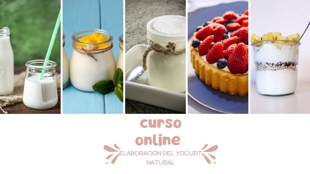 Yogurt natural casero artesanal Curso online sobre la elaboración y ...