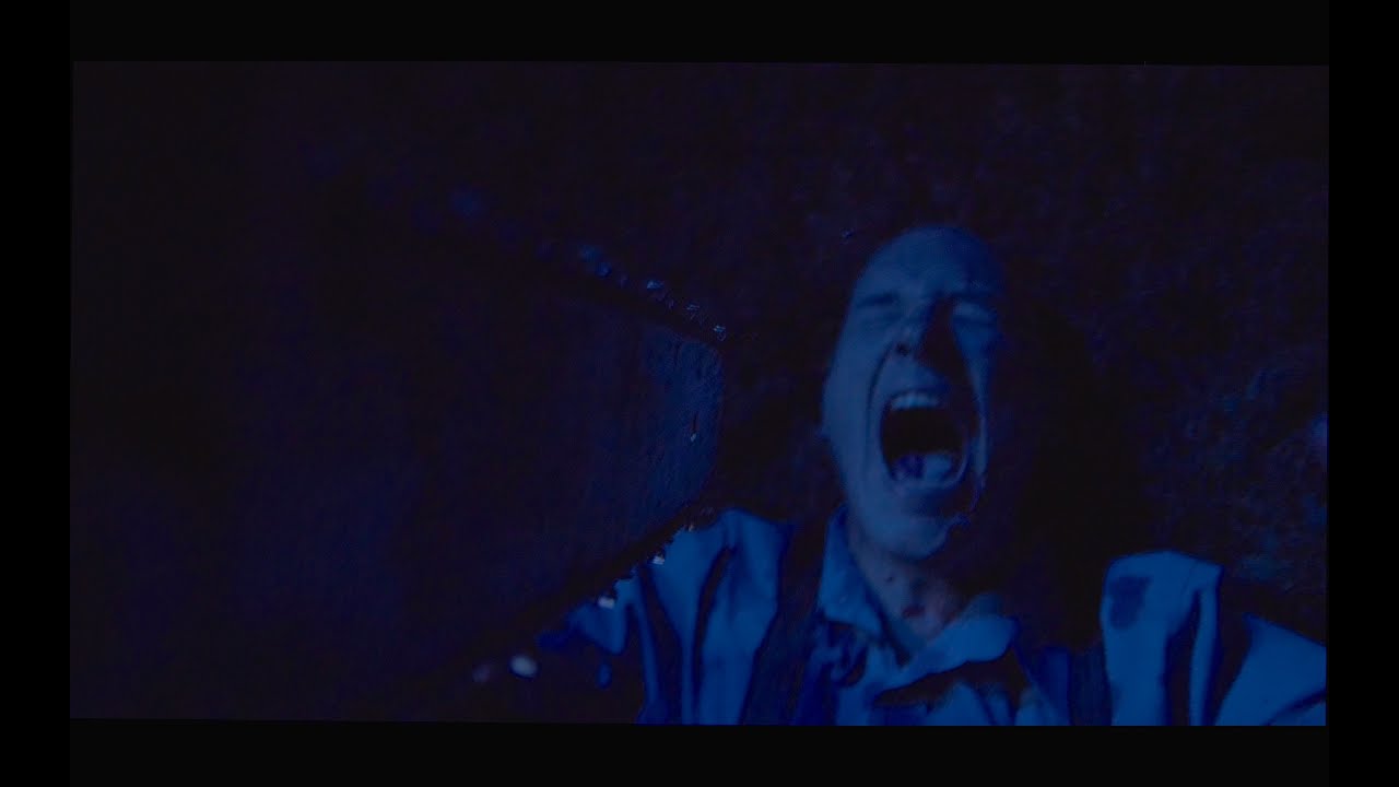 Deadmonton 2015 trailer - YouTube