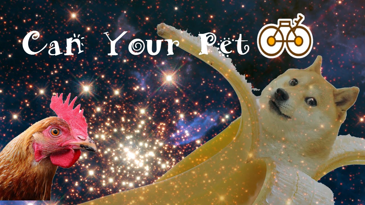 Can Your Pet w/ Goober - YouTube