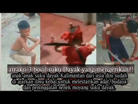 #atrkasi #kebal  3'#bocil  berususia 5 -15 tahun,suku Dayak.