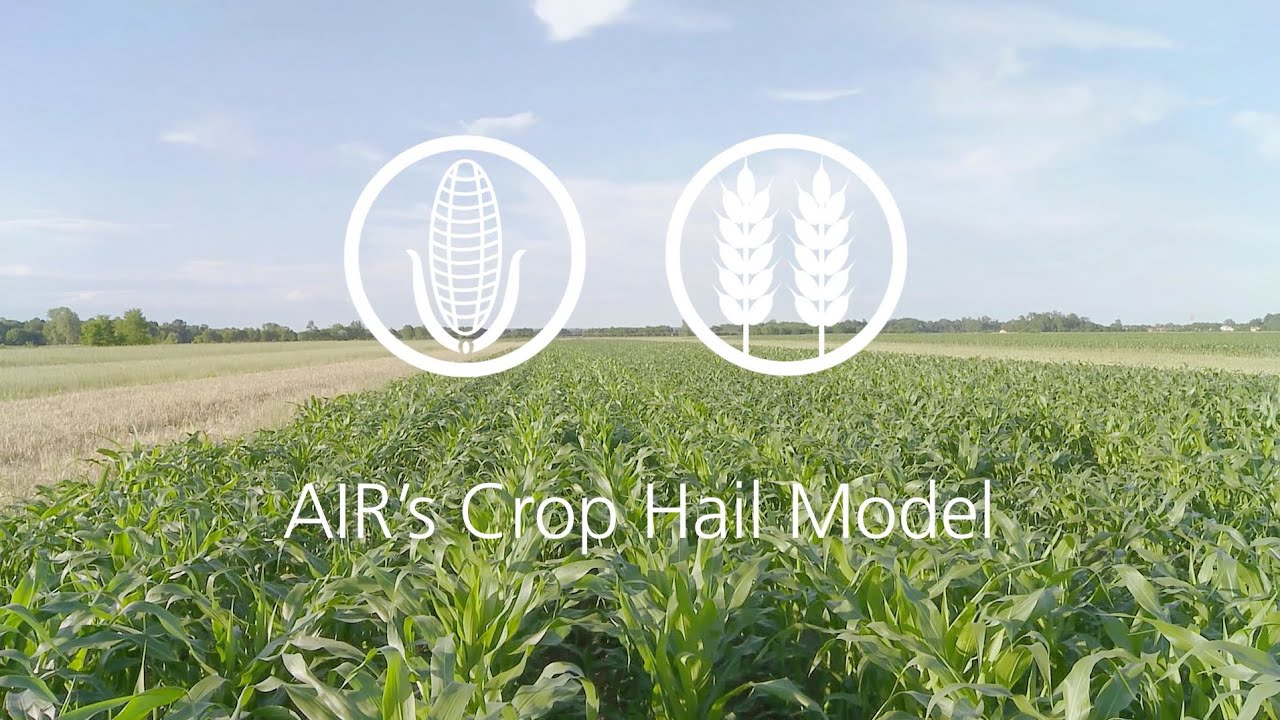 AIR’s Crop Hail Model—Reimagine crop risk management - YouTube
